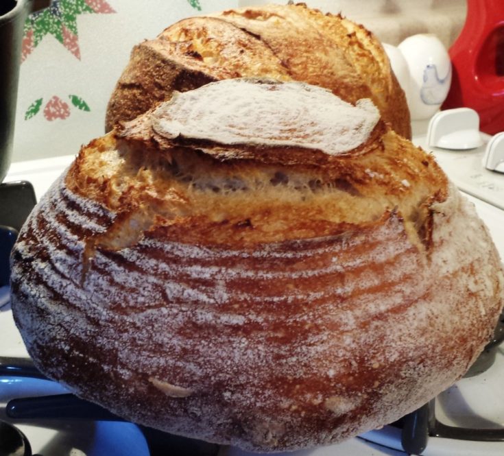 Country Sourdough Bread Old World Style - This Old Gal