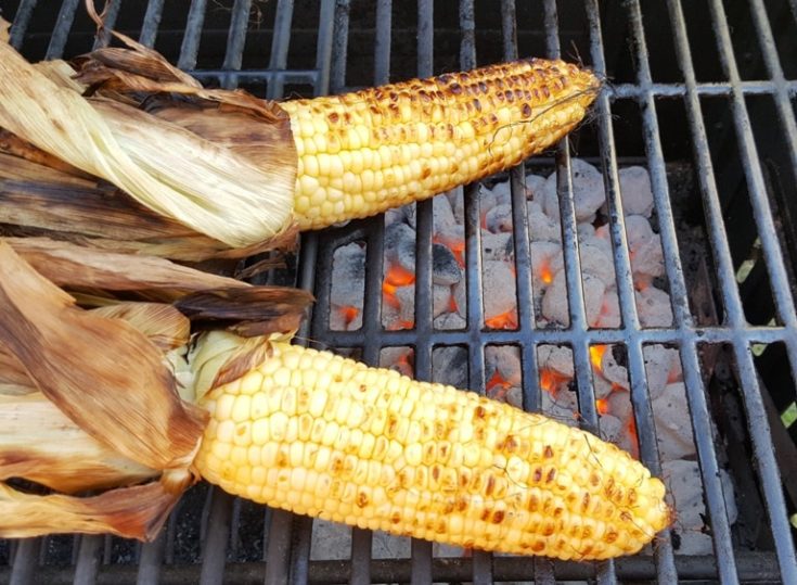 Elote Mexican Corn on the Cob Mexico Street Food - This Old Gal