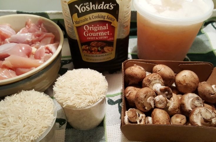 Pressure Cooker Mr. Yoshidas Chicken Rice - This Old Gal