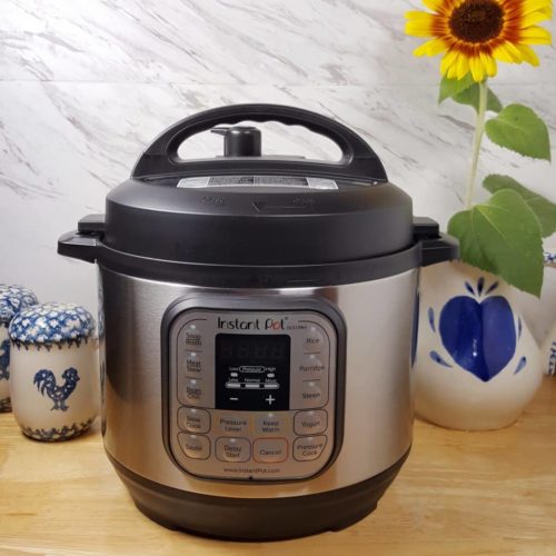 Instant Pot Duo Mini 7-in-1 Pressure Cooker Review - This Old Gal