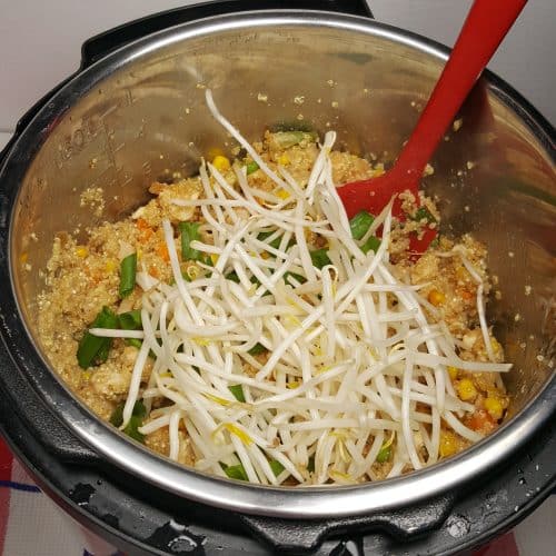 Instant Pot Chicken Fried Quinoa "Rice" - This Old Gal