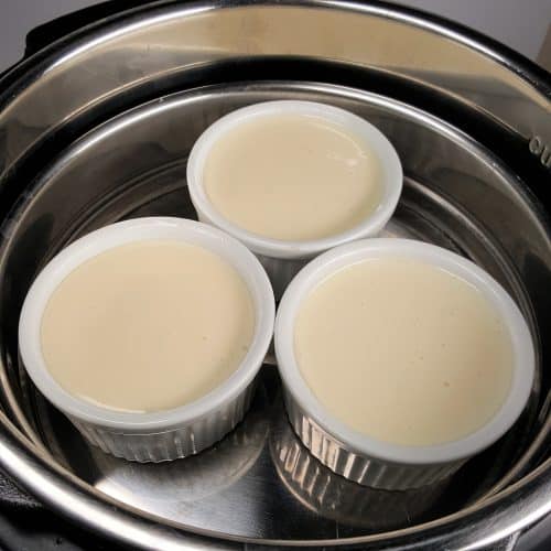 Instant Pot Bhapa Doi {Steamed Yogurt Pudding} - This Old Gal