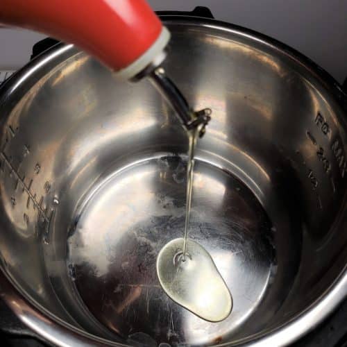 Pressure Cooker Thai Moo Wan Sweet Pork w/Coconut Rice - This Old Gal