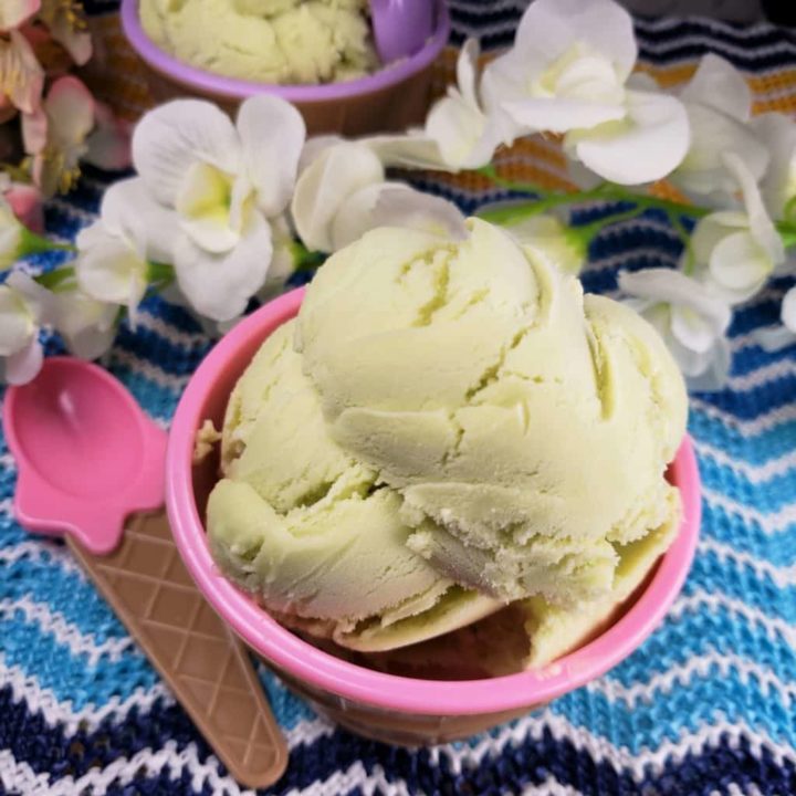 Homemade Avocado Ice Cream Recipe - This Old Gal