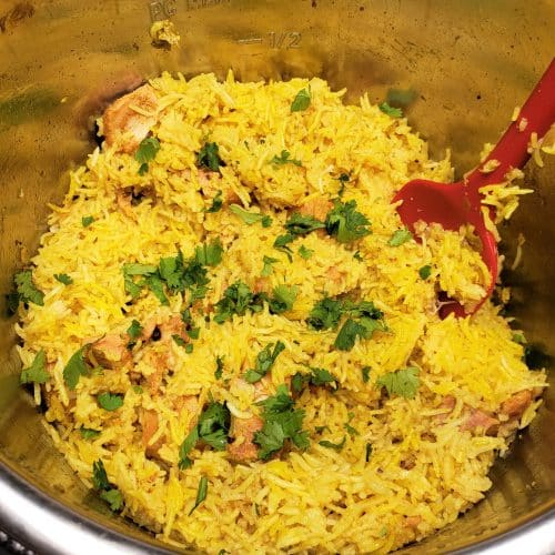 Instant Pot Chicken Biryani [Indian Chicken & Rice] - This Old Gal