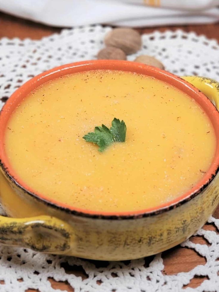Instant Pot ACE Blender Root Vegetables Soup + Video - This Old Gal