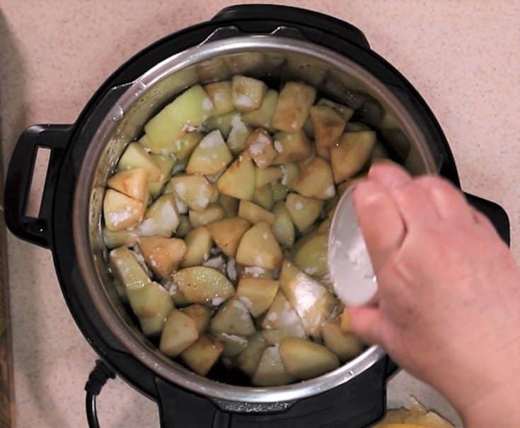 Instant Pot Apple Crisp + Video - This Old Gal